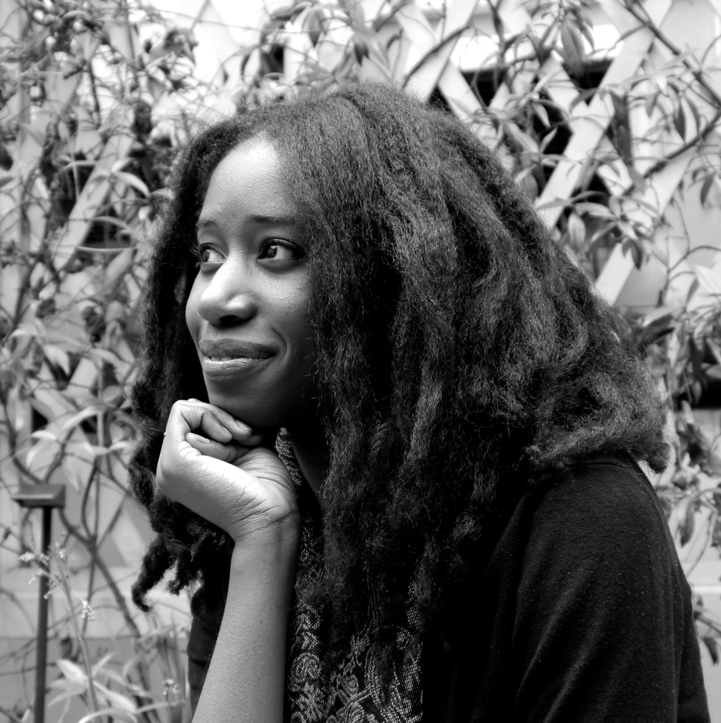 Amoako Boafo at Gagosian, Chiminanda Ngozi Adichie Children's Book and ...